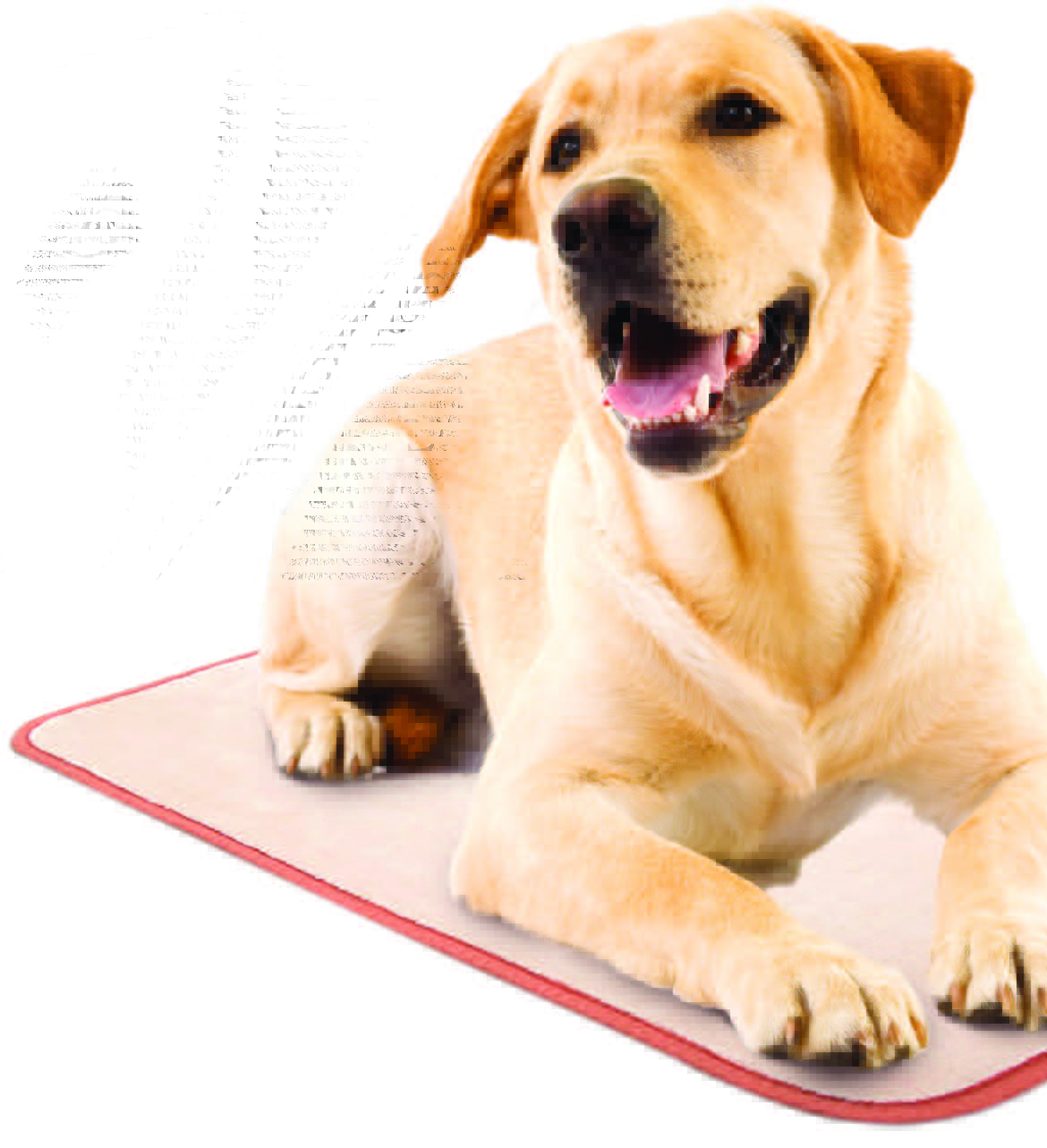 PVA Sponge Absorbency Test